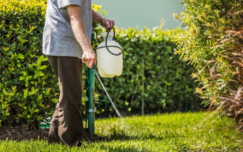 Ce sunt pesticidele şi ce trebuie să ştim despre ele - Reporter de Teren
